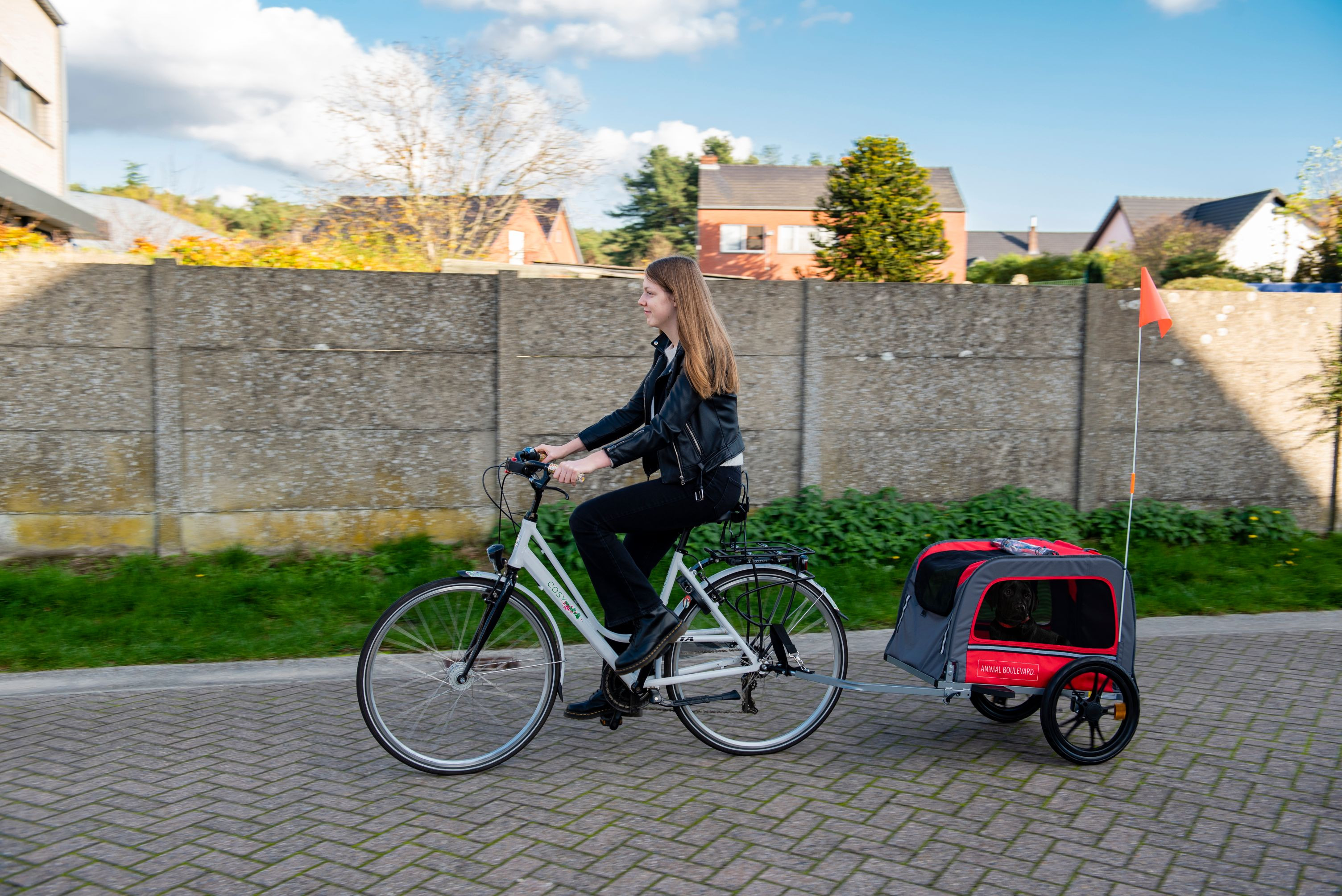 Fietskar Travel Medium | Beste fietskar voor honden voordelig