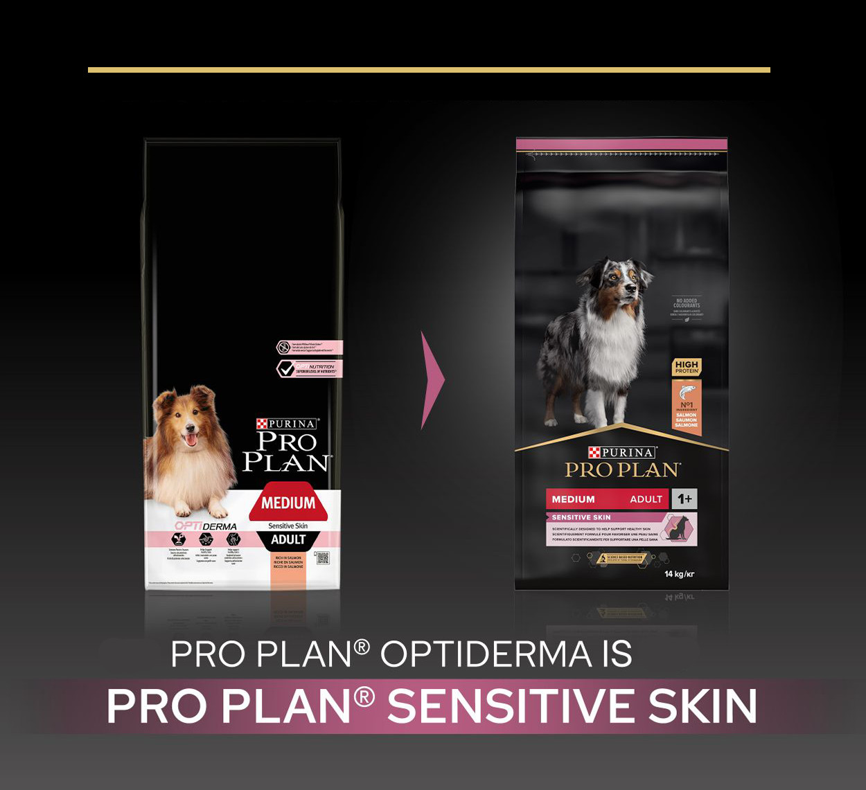 Pro Plan Medium Adult Sensitive Skin met zalm hondenvoer
